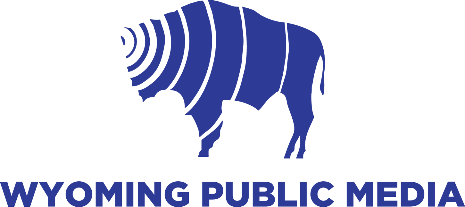 WPM_OfficialLogo_Blue_0 - Destination Analysts