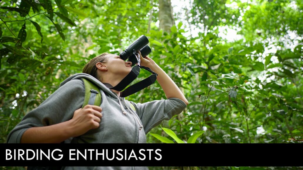 Birding Enthusiasts - Destination Analysts
