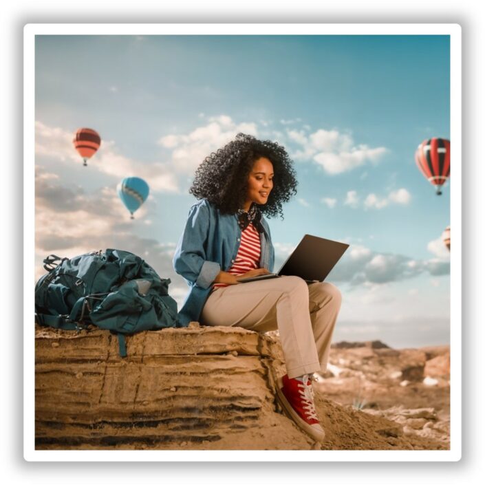 Visitor Profile - Destination Analysts